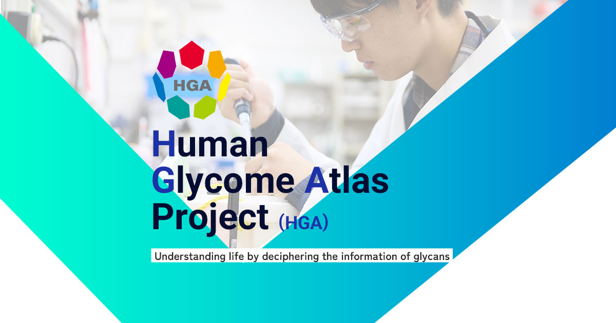 Human Glycome Atlas Project (HGA) official website is now open! - HGA
