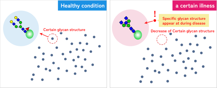 Research Interests - HGA