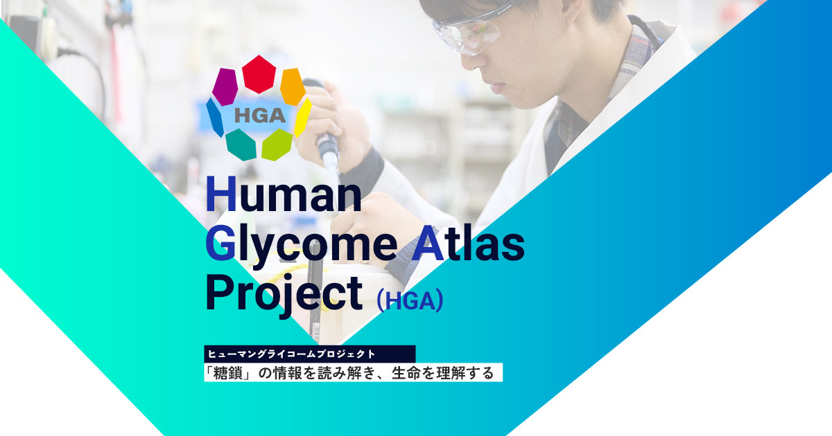 Human Glycome Atlas Project